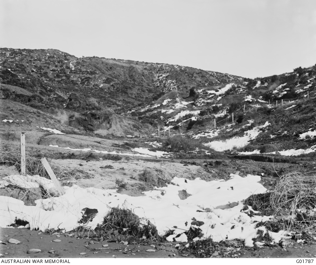 The entrance to Victoria Gully taken from the water's edge, looking ...