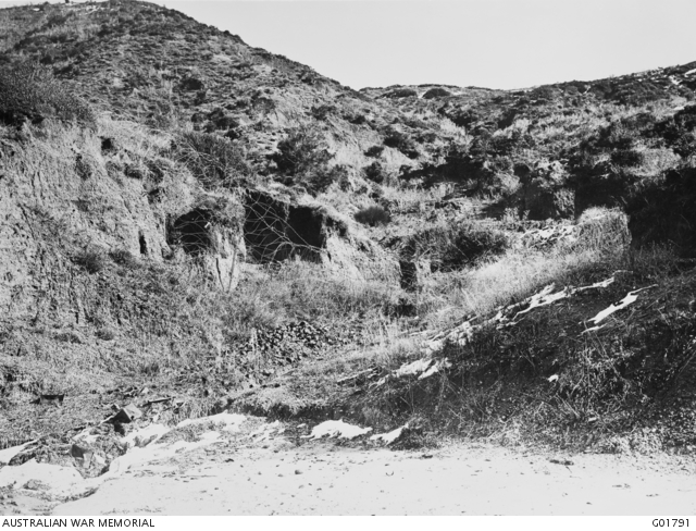 Wright's Gully from Brighton Beach looking east. The skyline on the ...