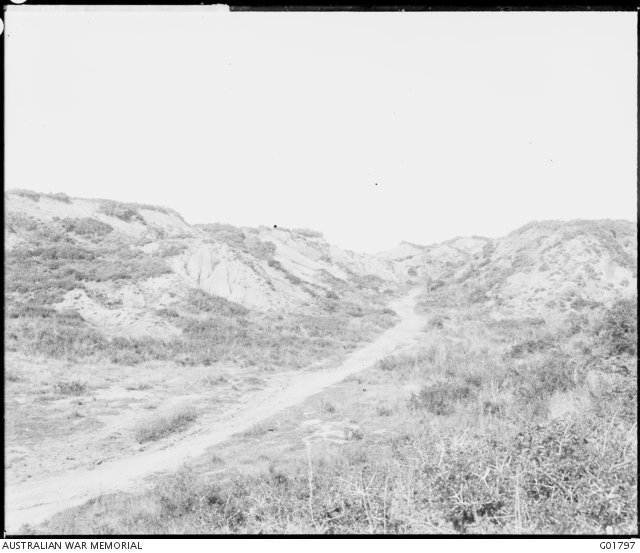 Mounted Rifle Gully (200 yards west of Australia Valley) looking north ...