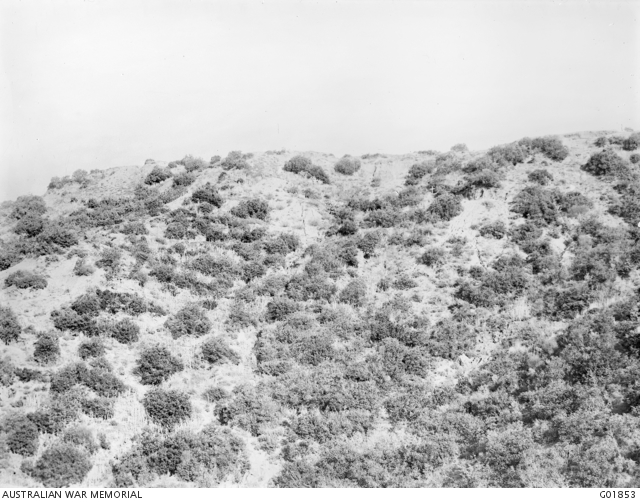 MacLaurin's Hill showing the grave on right of Lieutenant Colonel Henry ...