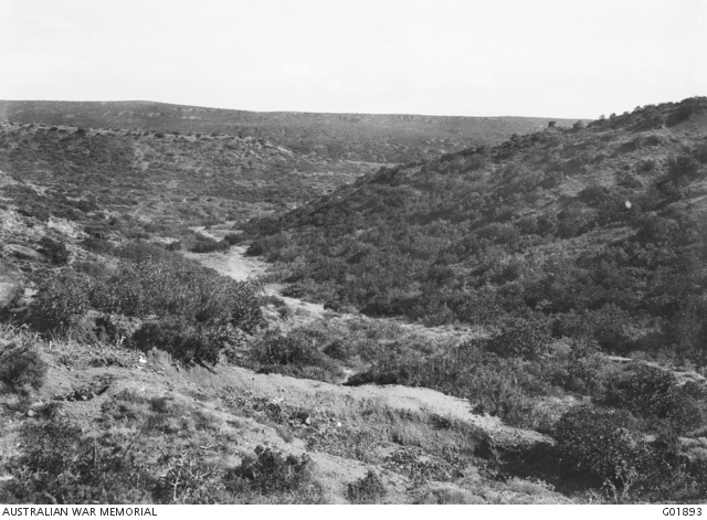 Battle outposts (Marine Trench) and Wire Gully. One of a series of ...