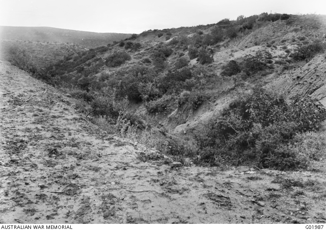 Looking down Wire Gully from the head of Bridges Road. One of a series ...