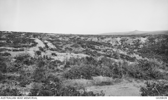 View looking towards Mal Tepe and Anderson Knoll showing Turkish gun ...