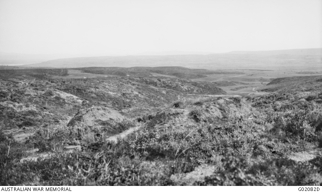 View looking towards Mal Tepe and Anderson Knoll showing Turkish gun ...