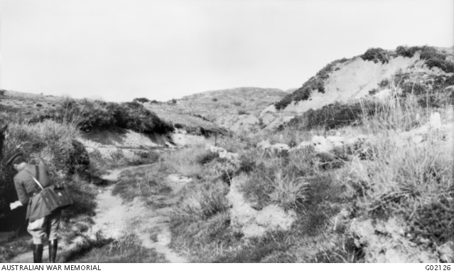 View near the old British front in Gully Ravine. One of a series of ...