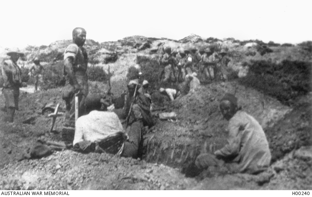 Australian burial parties burying Australian and Turkish dead during ...