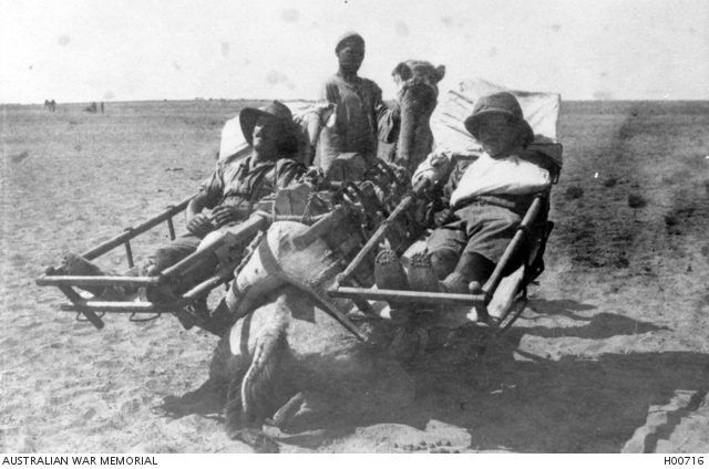 Cacolets carrying wounded soldiers being loaded, one each side, onto a ...