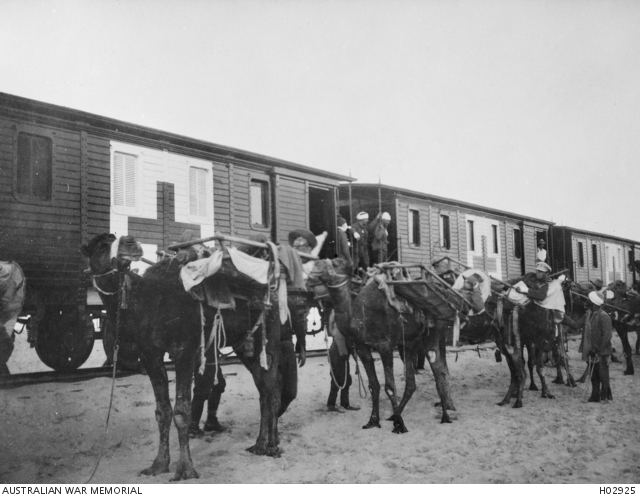 El Arish Area, Sinai. c. 1917. Australian and British soldiers, wounded ...