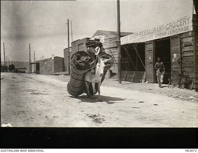Egypt. c. 1915. An overloaded mule carrying rolls of matting and his ...