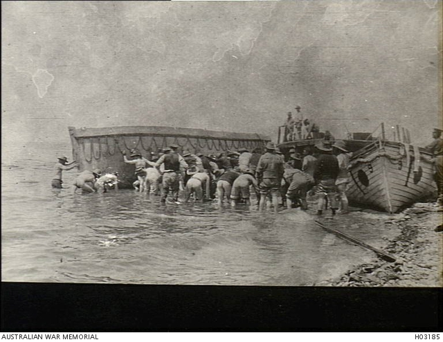 Anzac Beach, Gallipoli. 1915. Australian soldiers struggling to get ...
