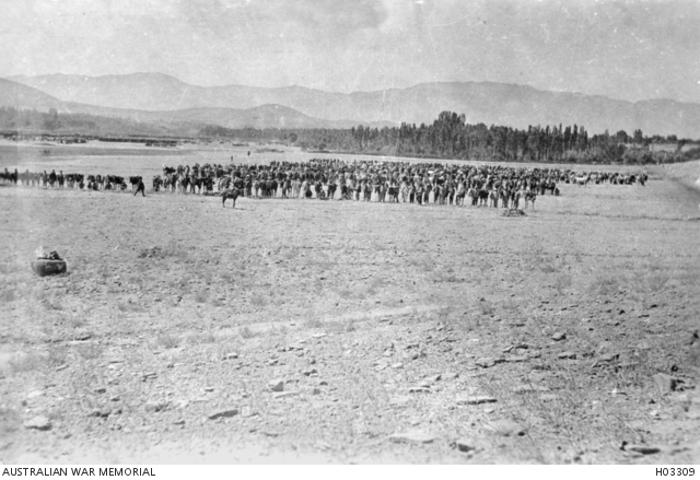 Hamadan, Persia. c. 1918-08. An army brigade of Armenian, Assyrian and ...