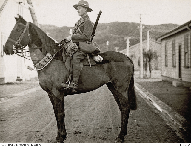 A New Zealand mounted rifleman with full equipment. The horse he is ...