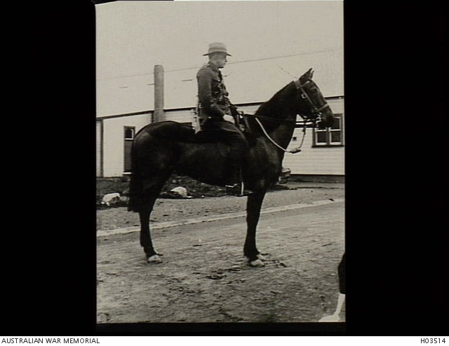 New Zealand. c. 1915. A New Zealand mounted rifleman with full ...