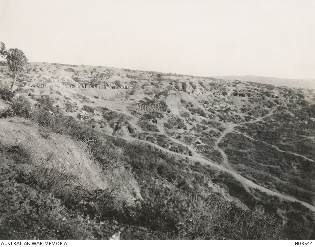 Lone Pine Area, Gallipoli. 1915-09-02. Looking south from gun positions ...