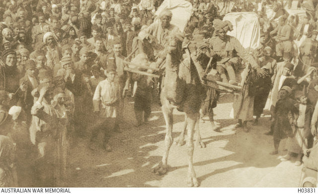A camel with cacolets in Aleppo. | Australian War Memorial