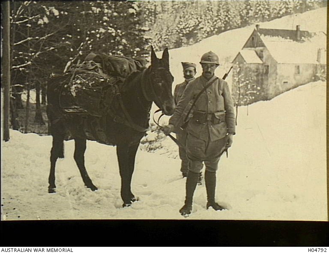 Alsace, France. c. 1917. Two French soldiers with a loaded pack mule in ...
