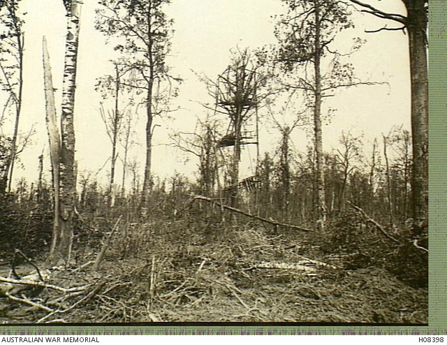 Mametz, France. c. 1916. A lookout post constructed in a tree by the ...