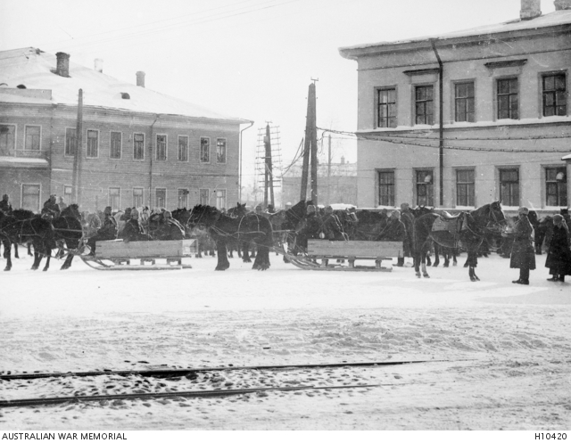 Archangel, Russia. 1919. A horse drawn sleigh convoy being formed up by ...