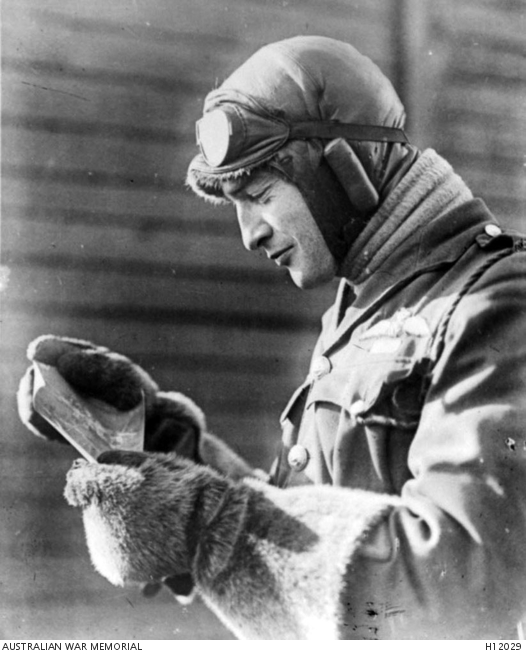 Royal Air Force pilot Captain Frederick Robert Gordon McCall who shot ...