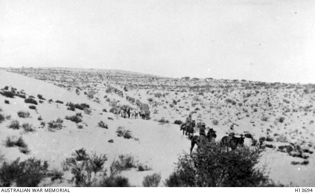 A camel convoy on the road between Mazar and Etmaler. (Donor Mrs L.E ...