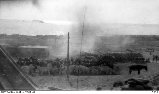 Gallipoli, Turkey. 1915. A Turkish Army artillery shell bursting among ...