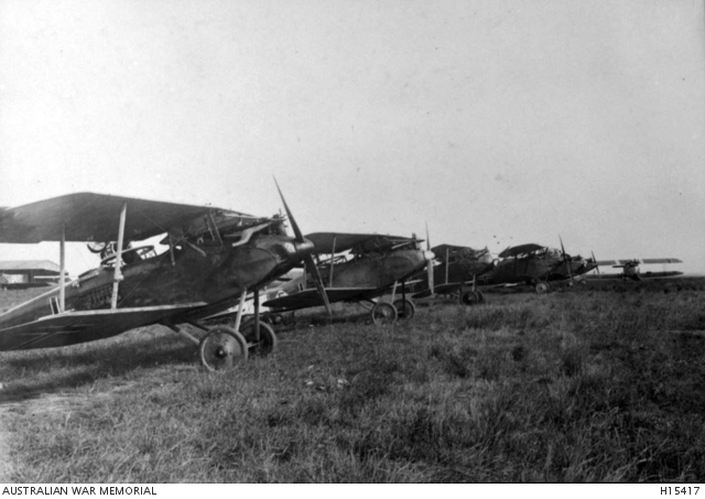 LINEUP OF SEVEN HALBERSTADT AND HANNOVER CL-TYPE GERMAN BIPLANES ON A ...