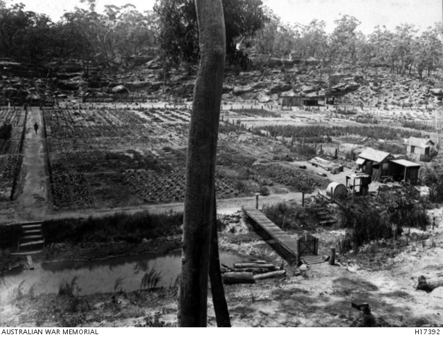HOLSWORTHY, NEW SOUTH WALES. C. 1916. THE HUT TO THE RIGHT WAS OCCUPIED ...