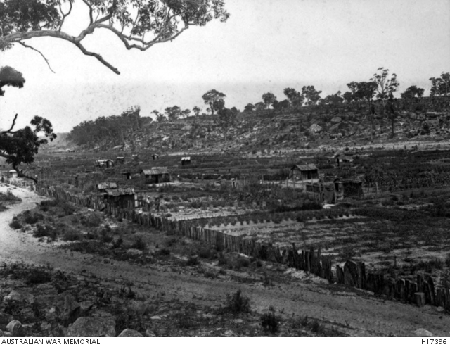 HOLSWORTHY, NEW SOUTH WALES. C. 1916. A SECTION OF THE INTERNEES ...