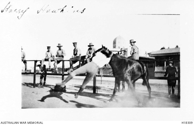 Trooper Harry Hawkins having trouble with his horse at the AIF Remount ...