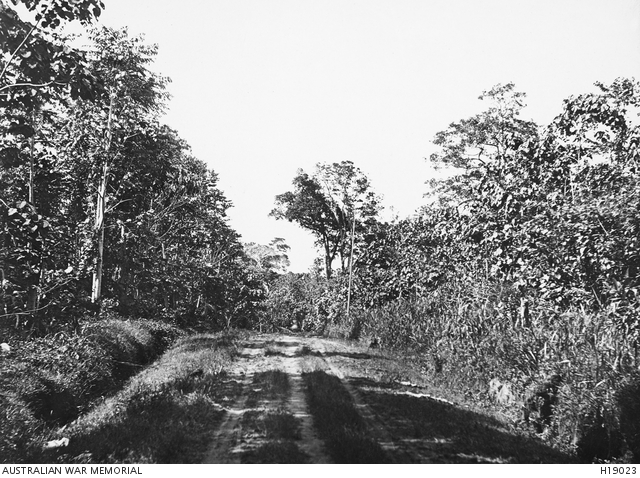 New Britain. A section of the road from Blanche Bay to Bitapaka. The ...
