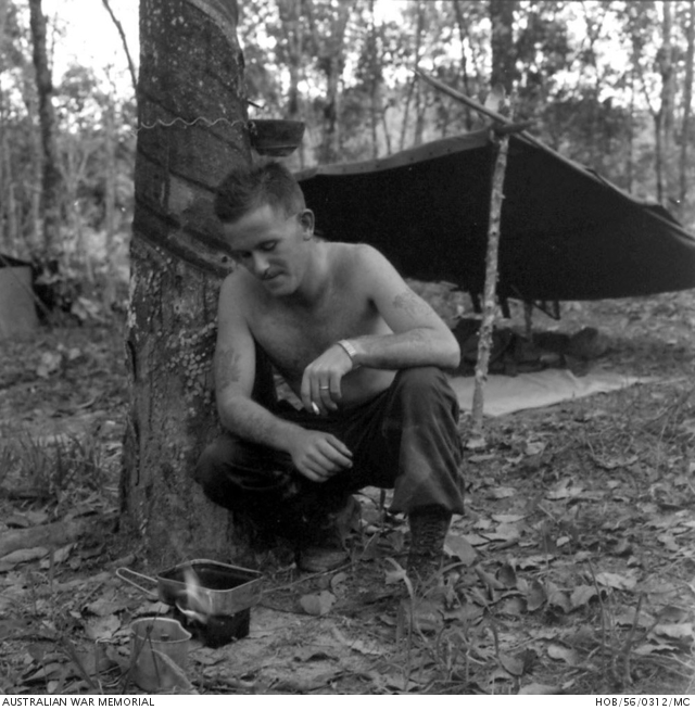 Informal portrait of 1/2966 Private (Pte) Peter Butt, of Kairi, Qld ...