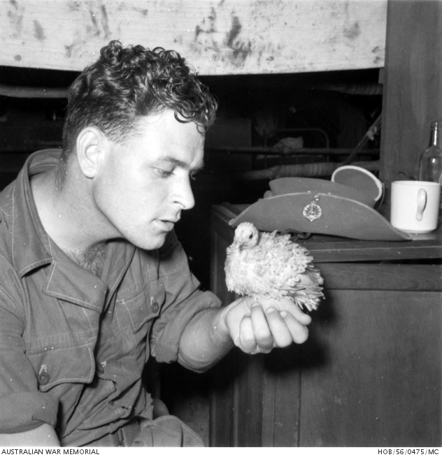 Informal portrait of 4/1796 Private (Pte) Ted Barwick, of Northville ...