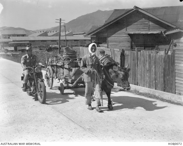 An unidentified Australian despatch rider drives his motorcycle past a ...