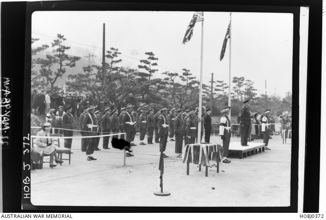Air Commodore (Air Cdre) A M Charlesworth stands at attention on a ...