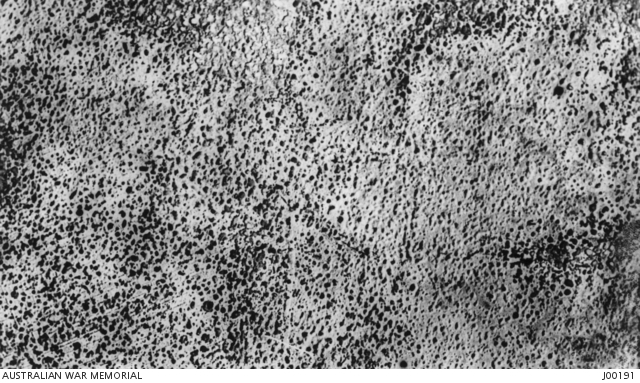 Aerial view of Polygonveld (Polygon Wood), 5 September 1917 ...