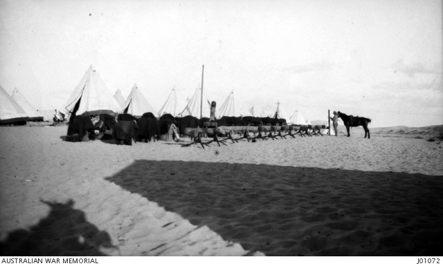 New Zealand machine gun squadron of 12 guns at Et Maler. | Australian ...