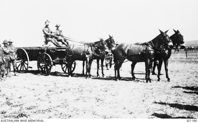 A team of mules and wagon entered for the sports day at Belah by the ...