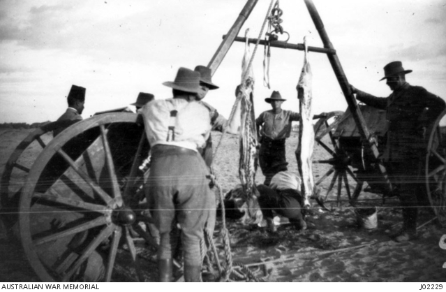 The Regimental Butchers of the 1st Australian Light Horse Squadron at ...
