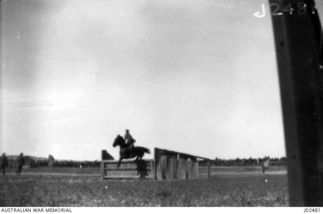 THE AUSTRALIAN MOUNTED DIVISIONAL SPORTS AT BELAH, 1918-03. A ...