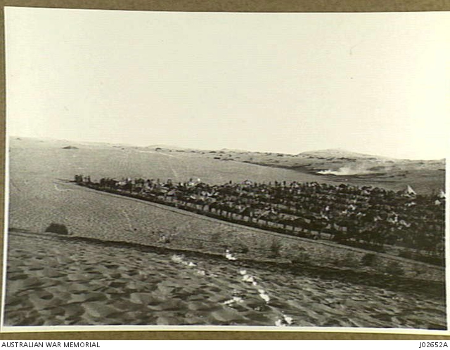 CAMEL TRANSPORT, WITH THE AUSTRALIAN LIGHT HORSE, CAMPED NEAR ROMANI ...