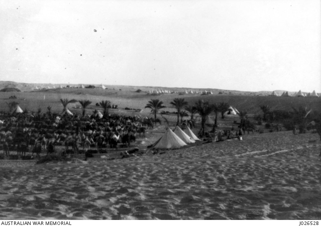 CAMEL TRANSPORT, WITH THE AUSTRALIAN LIGHT HORSE, CAMPED NEAR ROMANI ...