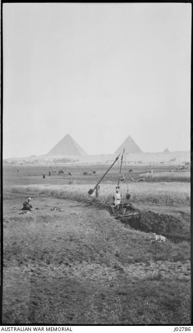 A NATIVE IRRIGATION PLANT, NEAR THE PYRAMIDS, EGYPT, 1915. (PURCHASED ...