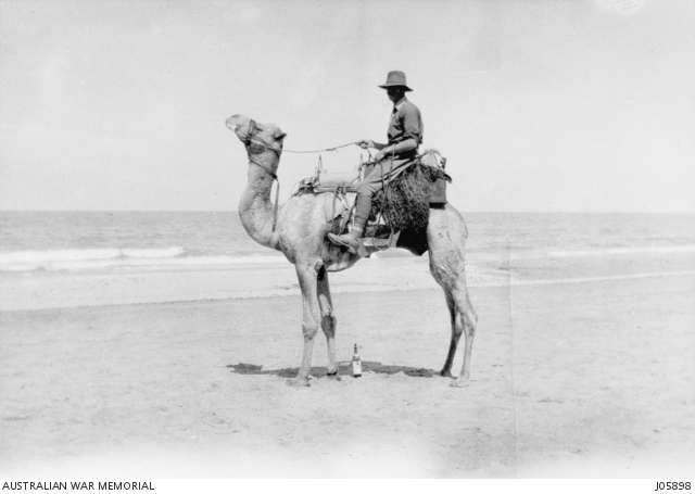 Captain (Capt) Randolph William Creswell, 3rd Battalion, Imperial Camel ...
