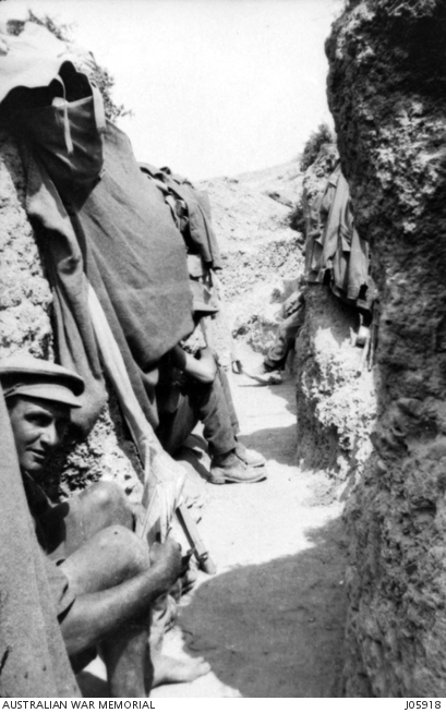 A SECTION OF ONE OF THE DEEP TRENCHES AT ANZAC. (DONATED BY MRS. S.N ...