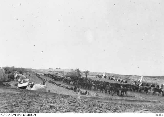 THE CAMP OF THE 4TH AUSTRALIAN LIGHT HORSE REGIMENT AT BELAH, IN 1918 ...