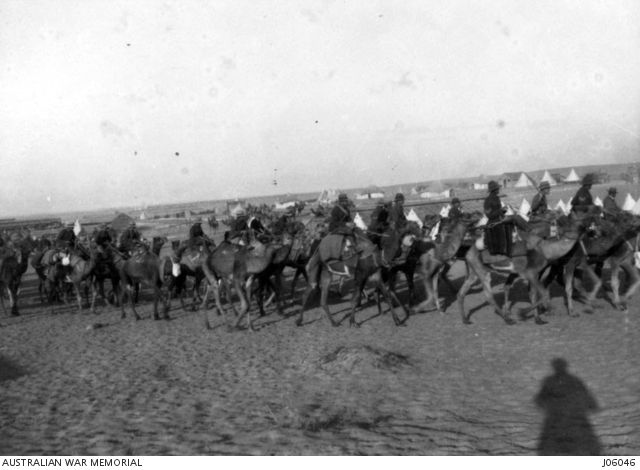 THE 1ST BATTALION, IMPERIAL CAMEL CORPS. (DONATED BY COLONEL A.J. MILLS ...