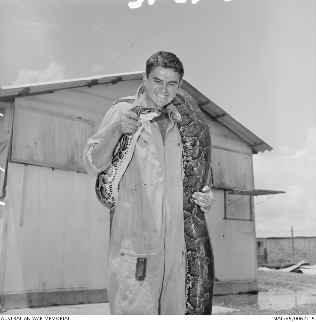 221083 Leading Aircraftman (LAC) George Arthur Harrison, assistant ...