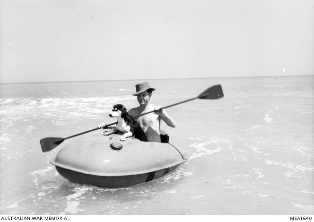 Italy. c. May 1944. A member of the Desert Harassers of No. 450 ...