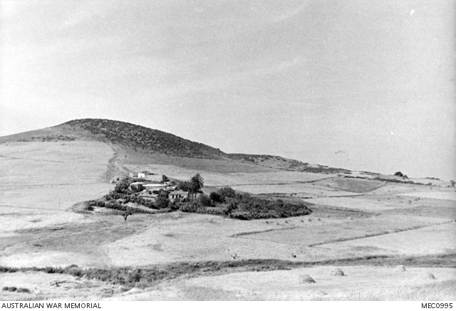 Near Bizerte, Tunisia. c. 1943. A landscape view of the agricultural ...