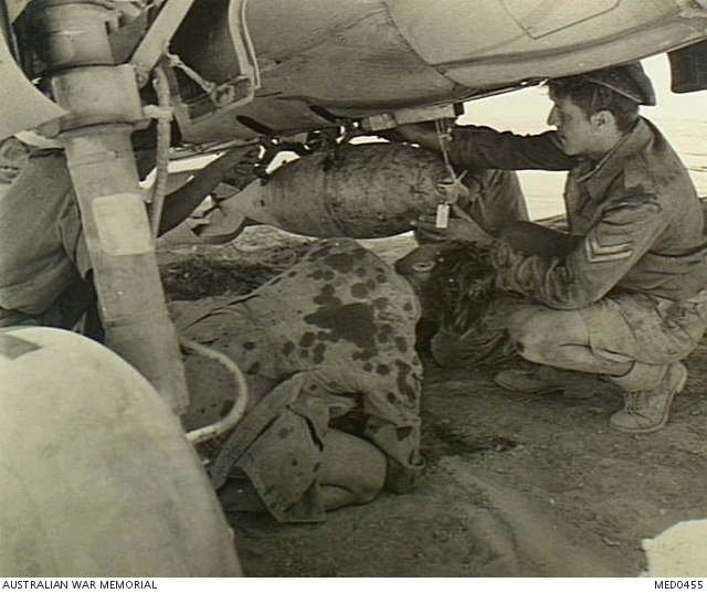 Western Desert, Libya. 15 July 1942. Three armourers in oil stained ...